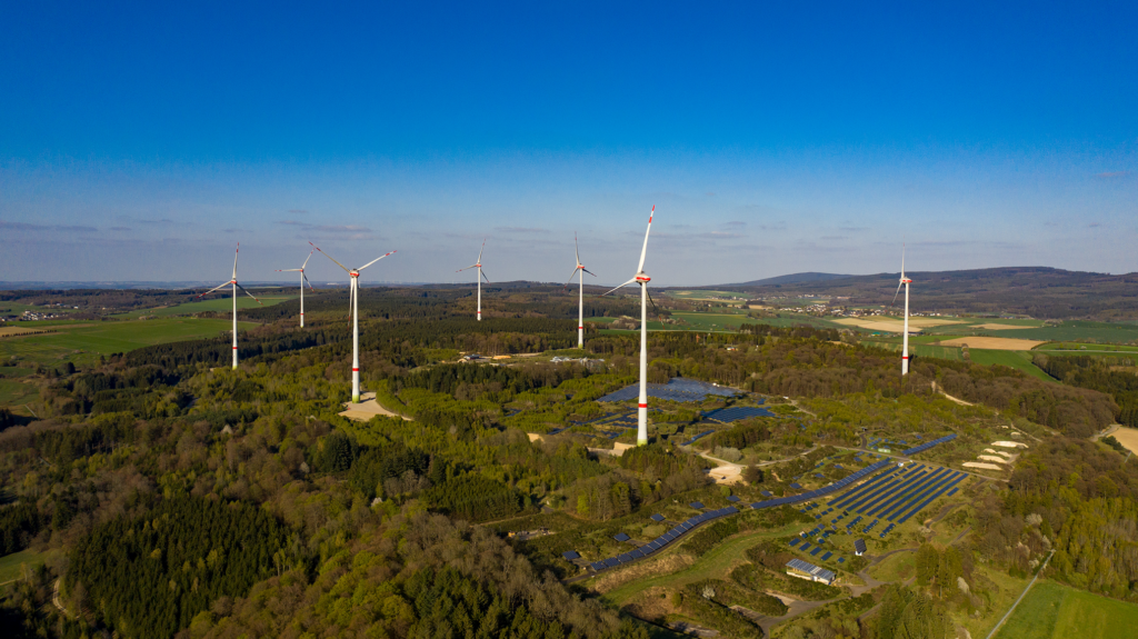 wiwi consult Crowdinvesting 2025 - WIWIN